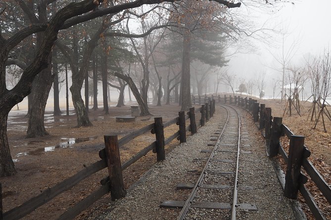 Day Tour to Gangchon Rail Bike Nami Island and Petite France - FAQ