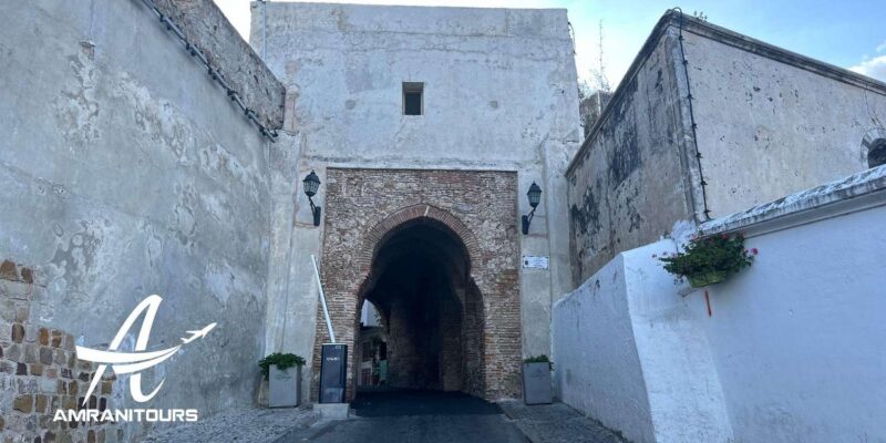 Day trip from Seville to Tangier all inclusive - Returning to Seville: Wrap-up of an Unforgettable Day