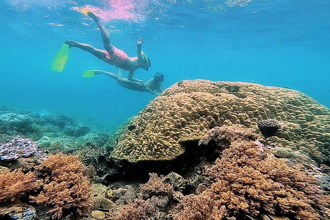 Day Trip Secret Island West Of Lombok - What Travelers Are Saying