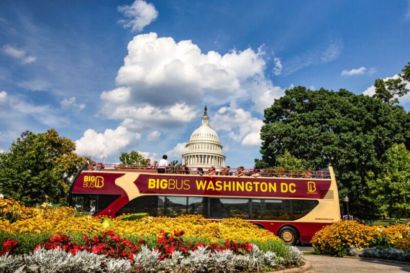 DC: Hop-on Hop-off Tour by Open-top Bus with 17 Stops - Insights from Real Travelers