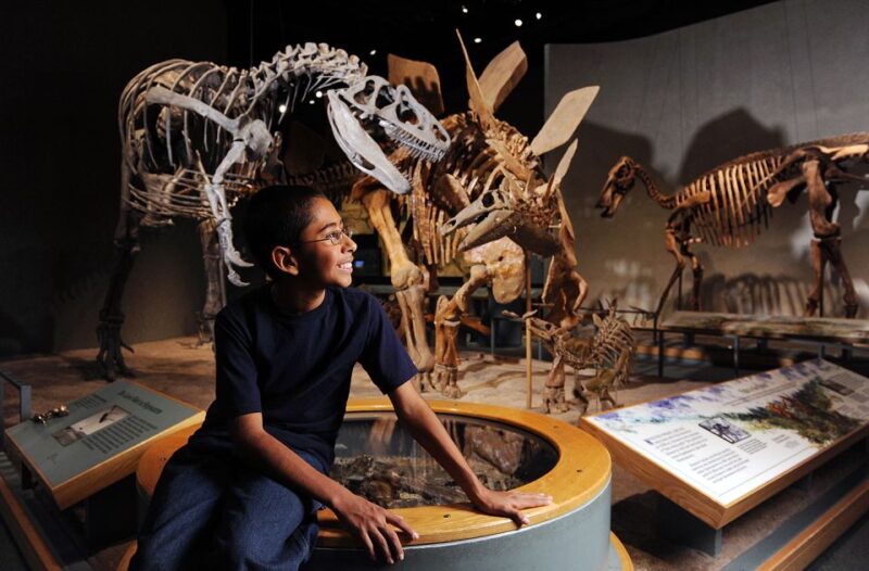 Denver: Museum of Nature and Science Entry Ticket - The Sum Up
