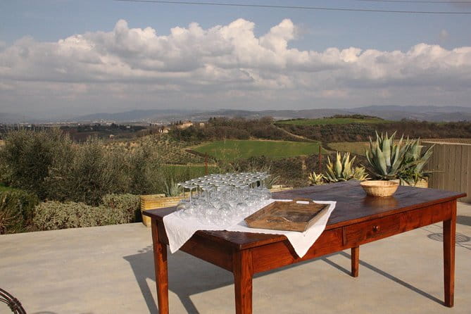 Discover Organic and Biodynamic Chianti Small Wineries - Final Thoughts: Who Is This Tour Best For?