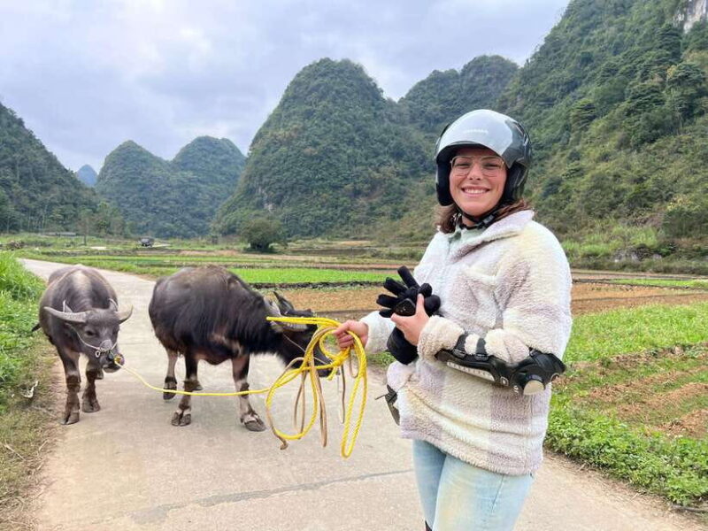 Discover the Beauty of Cao Bang in 5 Days, 4 Nights - Who Should Consider This Tour?