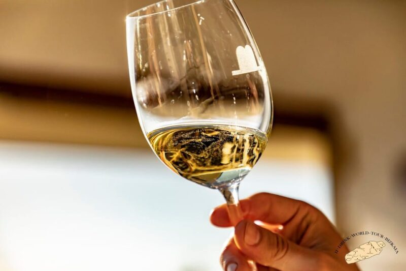 Discover the Essence of Txakoli Wine from San Sebastian - Final Thoughts