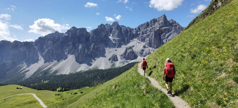 Dolomites of Bolzano: Hiking Experience with a local Guide - What Could Be Better?