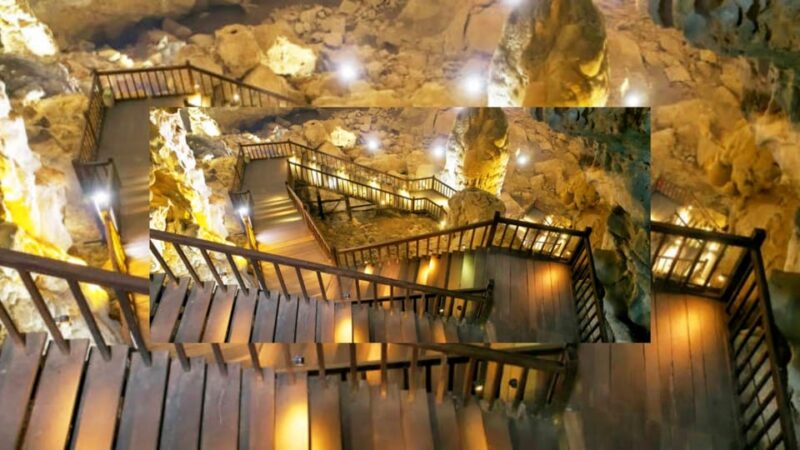 Dong Hoi: Explore Paradise Cave & Phong Nha Cave with Lunch - What to Expect and Practical Tips