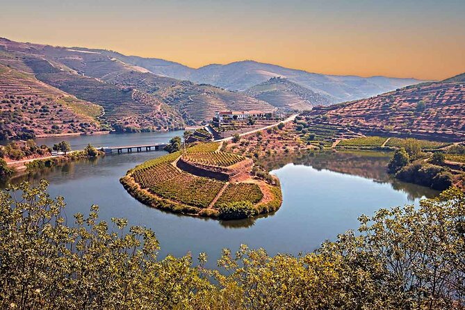 Douro Valley Wine Tour: Local Food & Wine Experience Small Group - Who Should Consider This Tour?