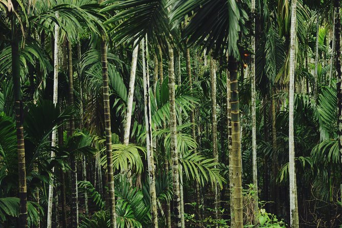 Dudhsagar waterfall wildlife & spice plantation Tour in Goa - Frequently Asked Questions