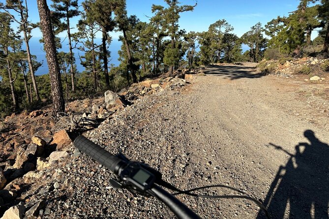 E-bike Ride at Chinyero Natural Reserve - on premium bikes - The Sum Up
