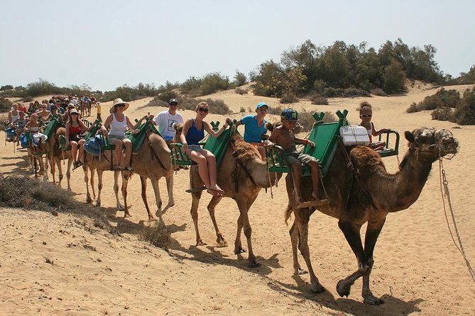 E-Bike Tour with Camel Safari through the Maspalomas Sand Dunes - FAQ
