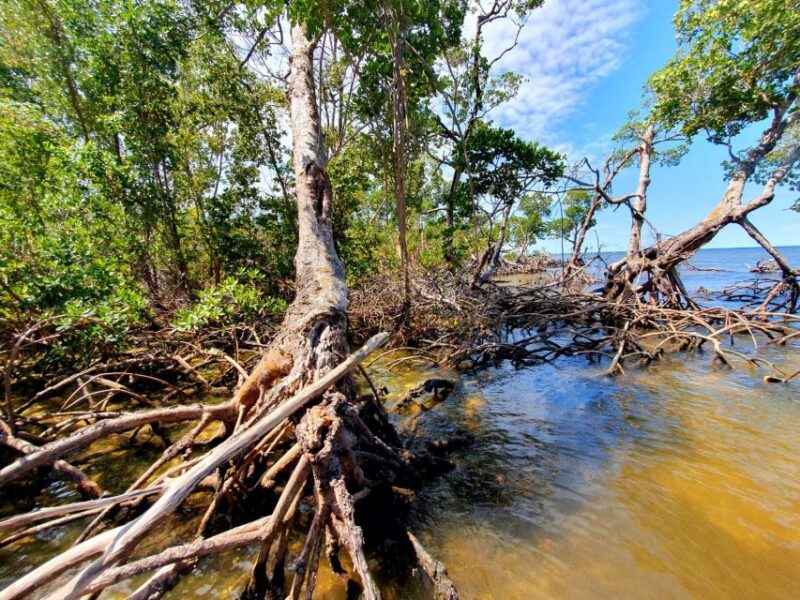 Everglades National Park: Motorboat Eco Tour - FAQs about the Everglades Motorboat Eco Tour