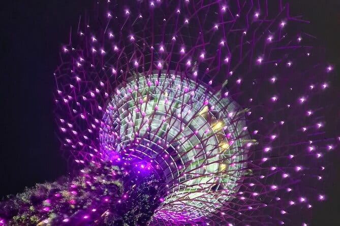 Exclusive Private Tour by a Singaporean Guide - What Real Travelers Say