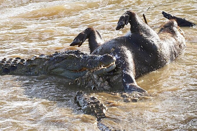 Explore The Beauty Of Udawalawe National Park From South Coast During 01 Day - Who Will Love This Tour?