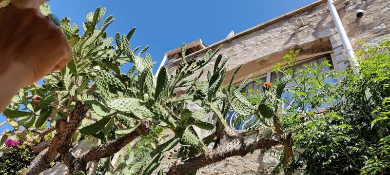 Èze: Walking Tour with a Local Guide - Historic Ruins and Artistic Heritage