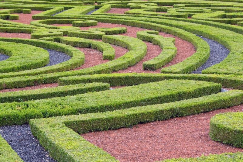 Fontainebleau & Vaux-le-Vicomte Châteaux Day Tour from Paris - Summary and Who Will Love This Tour