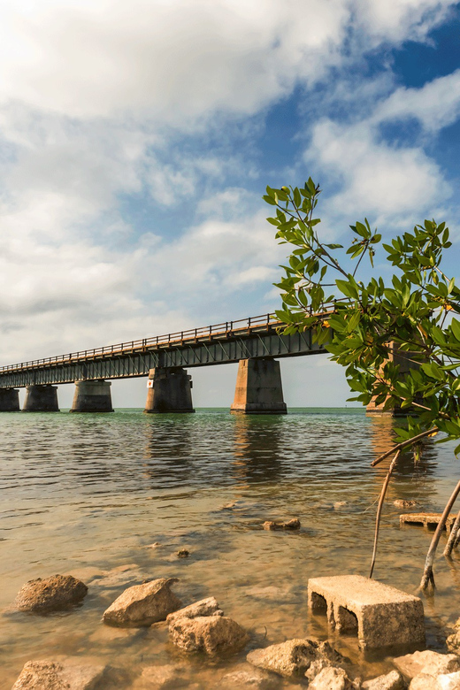 Fort Lauderdale to Key West Day Trip - Possible Drawbacks