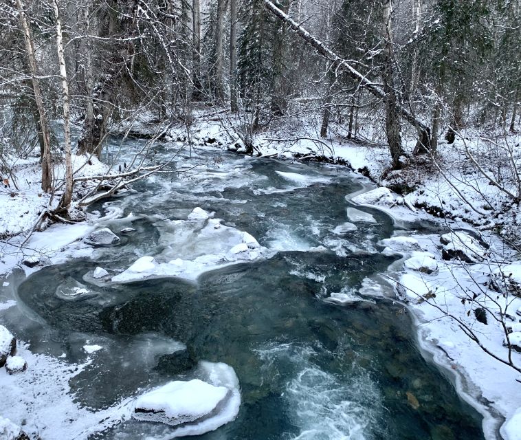 From Anchorage: Chugach State Park Winter Walking Tour - FAQ
