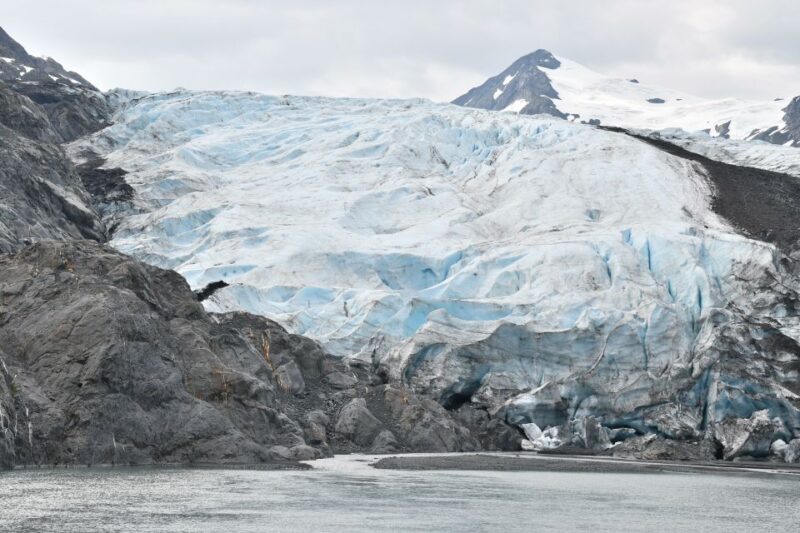 From Anchorage: Valley of Glaciers & Wildlife Center Tour - Transportation, Group Size, and Overall Value