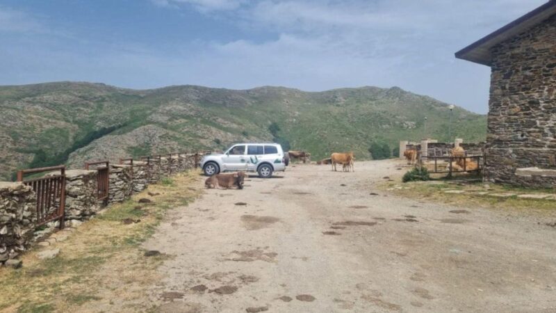 From Arbatax: Barbagia jeep tour and lunch at the shepherd's - Practical Tips