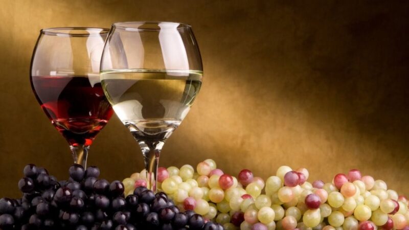 From Atlanta: North Georgia Wine Country Tour - The Guide and Transportation Experience