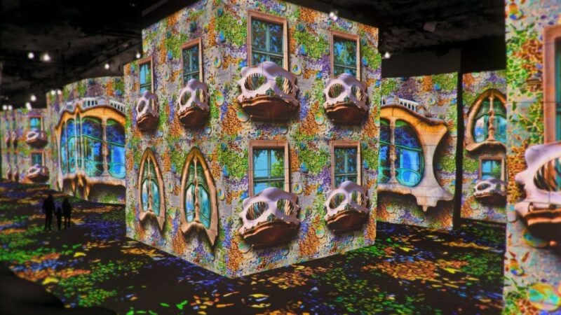From Avignon: Half-Day Van Gogh & Carrières de Lumières Tour - Authentic Experiences and Practical Tips