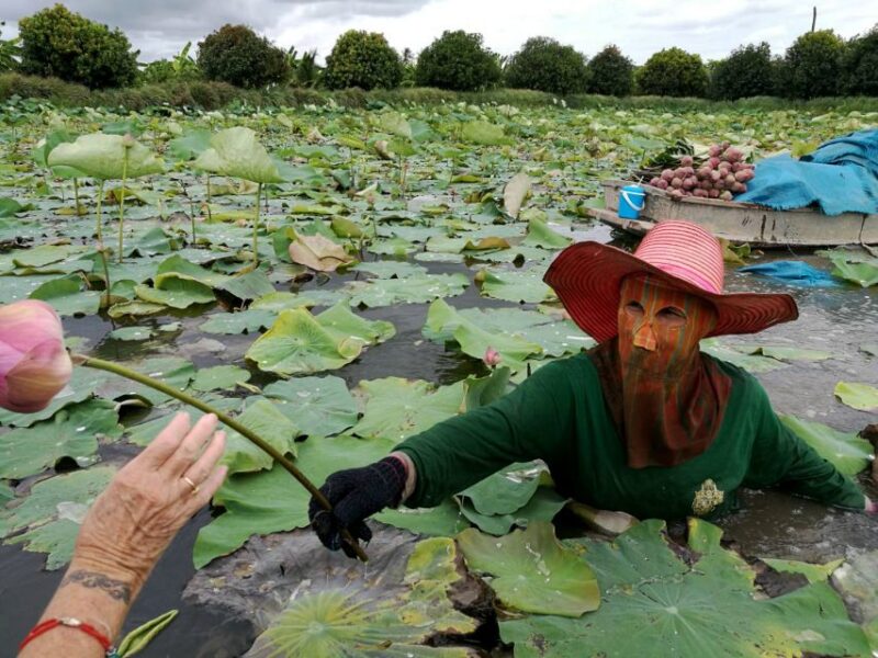 From Bangkok: Mahasawat Canal and farm with Lunch - Who This Tour Is For