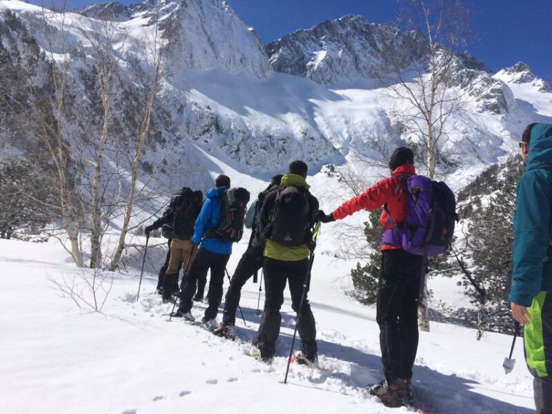 From Barcelona: Snowshoeing in the Pyrenees - Practical Tips for Participants