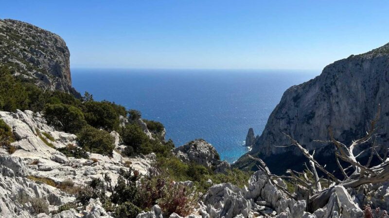 From Baunei: buggy tour to Punta Salinas - Who Should Consider This Tour?