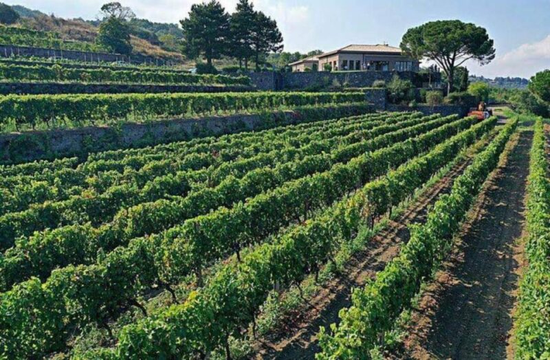 From Catania: Guided Hike on Etna, wines and nibbles - Final Thoughts: Who Should Consider This Tour?
