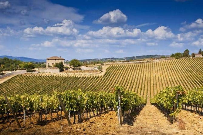 From Florence: Classic Chianti Villages and Wine Roads by Minivan - What the Reviews Say