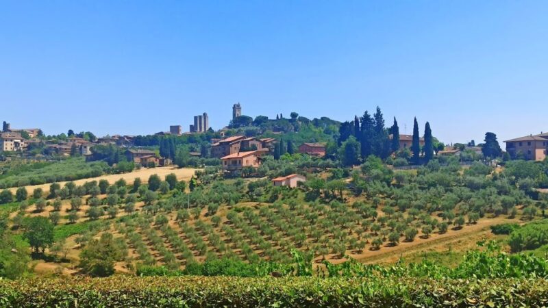 From Florence: "Ramble through the hills of Chanti" - The Sum Up