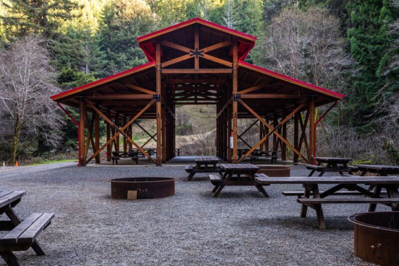 From Fort Bragg: Redwoods Train Ride and Nightclub Ticket - Authentic Experiences and Traveler Feedback