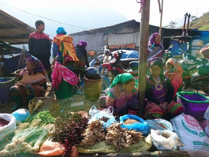 From Hanoi: 2 Day Sapa Trekking To Village & Bungalow - Who Should Consider This Tour?