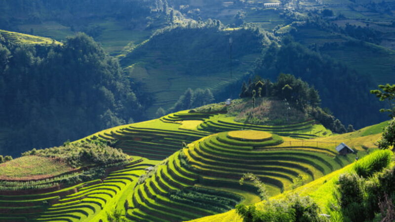 From Hanoi: 3-Day Sapa - Bac Ha Market Trekking Tour - Who Will Love This Tour?