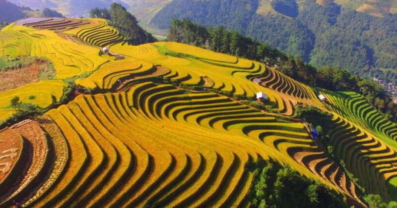 From Hanoi: 3-Day Sapa Trekking (sleep at hotel & homestay) - The Value Proposition
