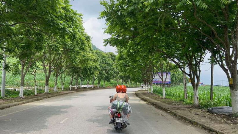 From Hanoi: 4 Day Ha Giang Loop Car Tour Plus Edited Video - Price and Value