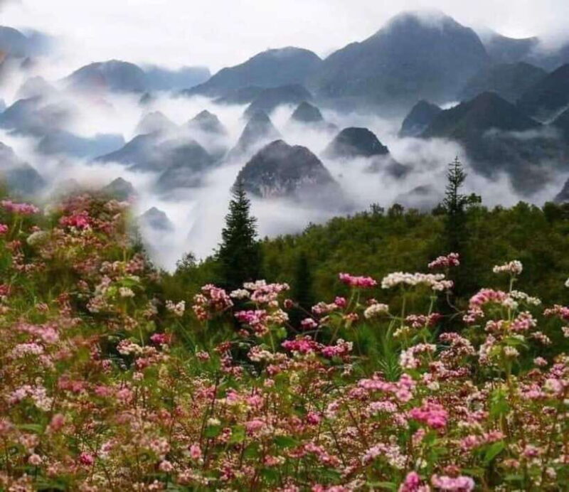 From Hanoi: 5-Day Ha Giang, Cao Bang, and Ba Be Lake Tour - Authentic Experiences and Traveler Feedback