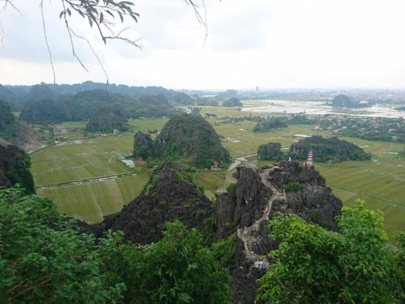 From Hanoi: Ninh Binh-Hoa Lu-Trang An-Mua-Cave-Buffet Lunch - Authentic Experiences and Traveler Insights