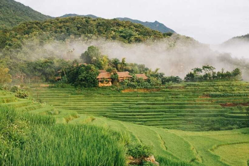 From Hanoi: Pu Luong Nature Reserve 3-Day Package Tour - The Sum Up