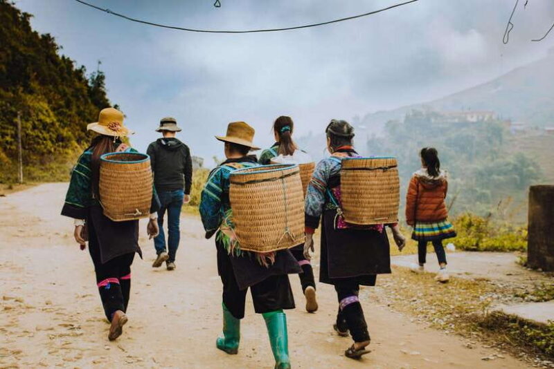 From Hanoi: Tour Sapa - Moana - Fansipan 3D2N exit Hanoi - The Sum Up