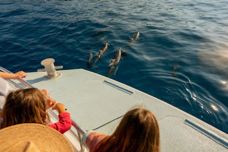 From Hawaii: Eco-Friendly Snorkeling Experience with BBQ - Comfort and Amenities