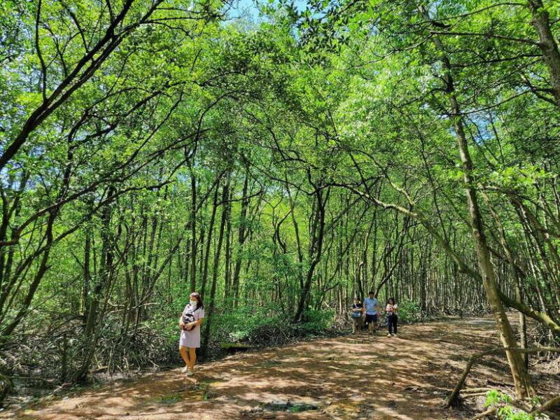 From Ho Chi Minh City: Can Gio Mangrove & Monkey Island Trek - Authentic Experiences Highlighted by Reviewers