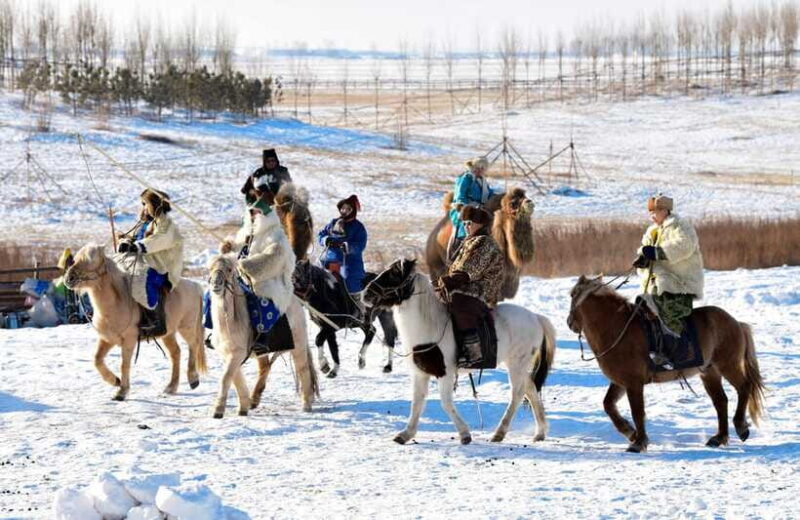 From Hohhot: 8-Day Inner Mongolia Private Tour to Ordos - What the Tour Could Improve