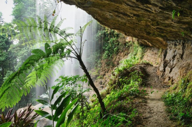 From Hue: One day Phong Nha Cave, boat trip, lunch included - Practical Considerations