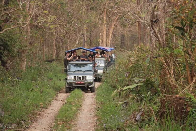 From Kathmandu: 3-Day Chitwan National Park Tour - Final Day and Return to Kathmandu