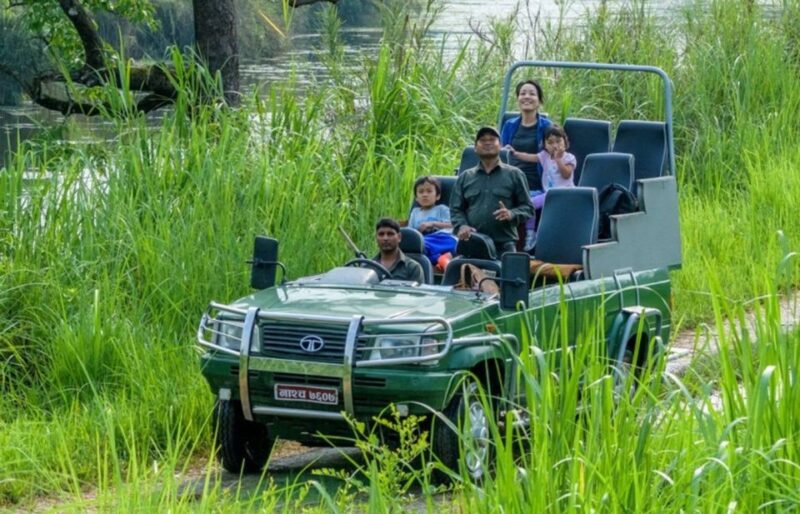 From Kathmandu or Pokhara: 3 Nights Chitwan Jungle Safari - Day 4: Departure and Reflection