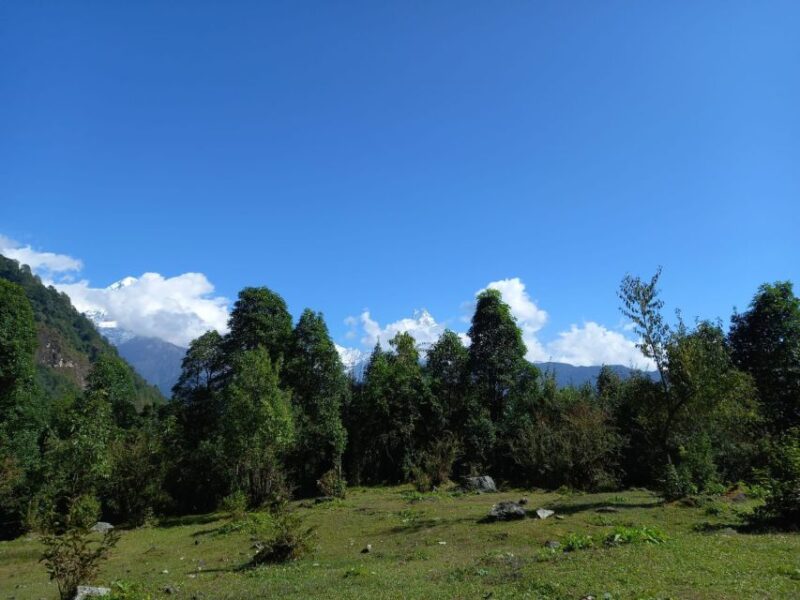 From Kathmandu/Pokhara: 9-Day Annapurna Circuit Trek - What Travelers Say
