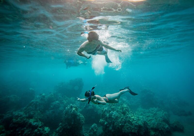 From Kihei: Molokini Snorkel 2-Hour Adventure - The Group Size and Atmosphere