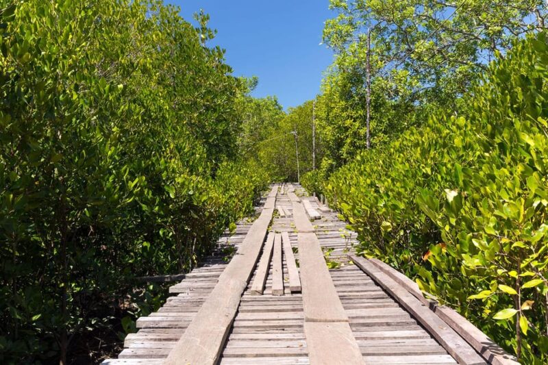 From Ko Lanta: Mangrove Eco-Excursion by Longtail Boat - FAQs