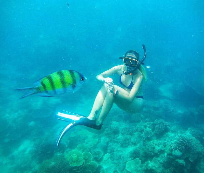 From Koh Lanta: Koh Haa & Koh Rok Snorkel Tour by Speedboat - Practical Details and Considerations